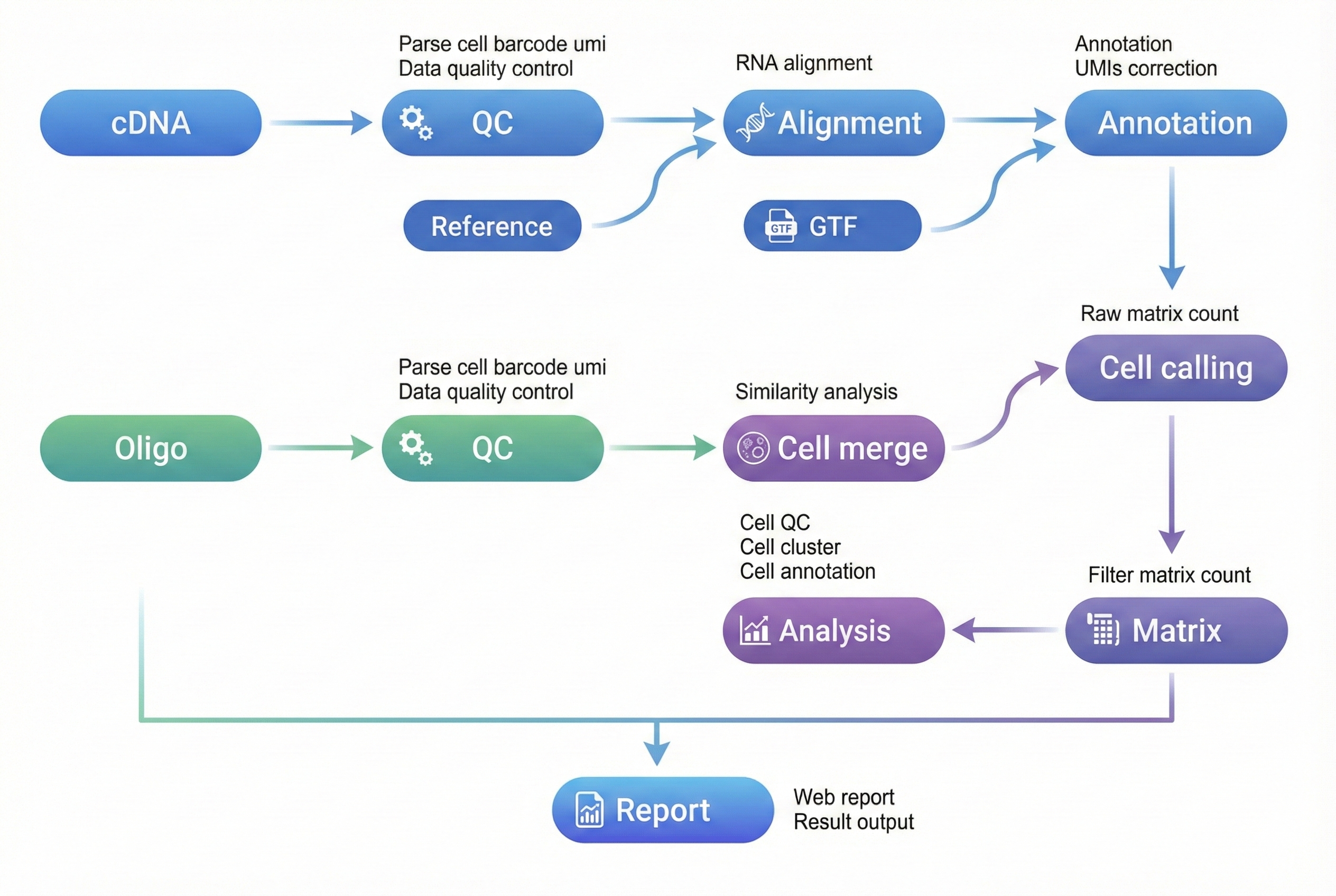 scRNA - DNBelab C Series™ HT 单细胞分析软件
